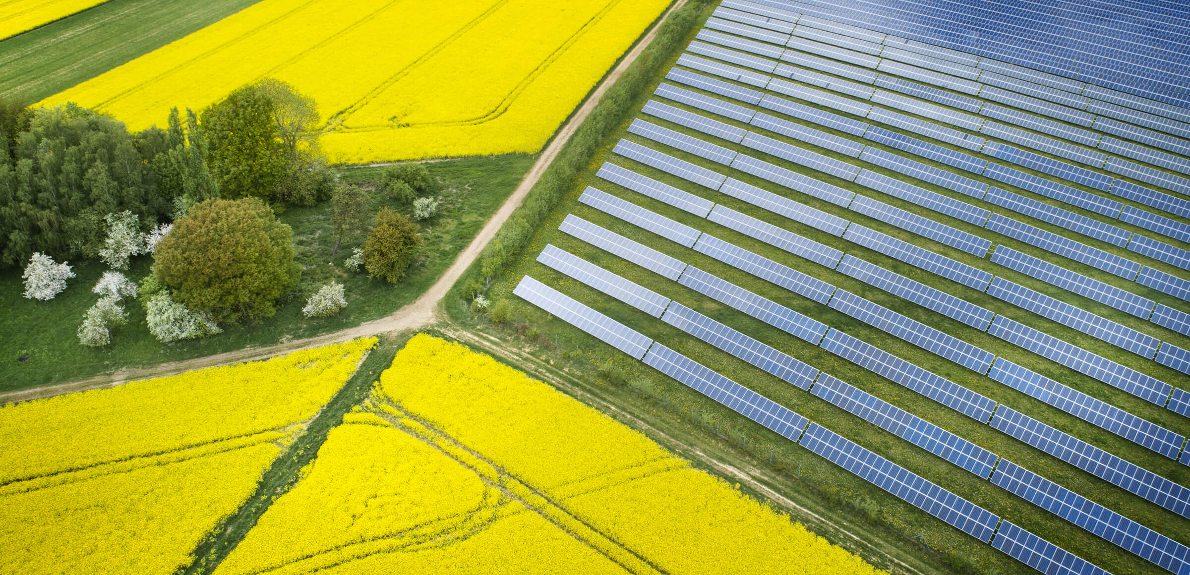 Sustainability strategy | Open Innovability Sustainability strategy | Open Innovability